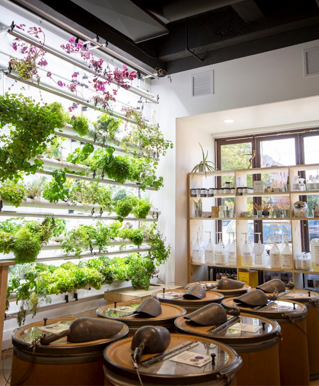 La renaissance du sébaste du Québec : un poisson d'exception à redécou ...